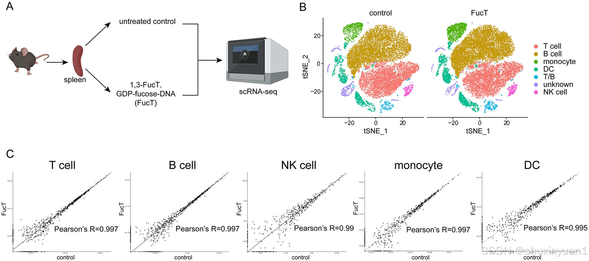 单细胞水平检测N-乙酰乳糖胺(LacNAc)的新型化学酶法与生信-CSDN博客