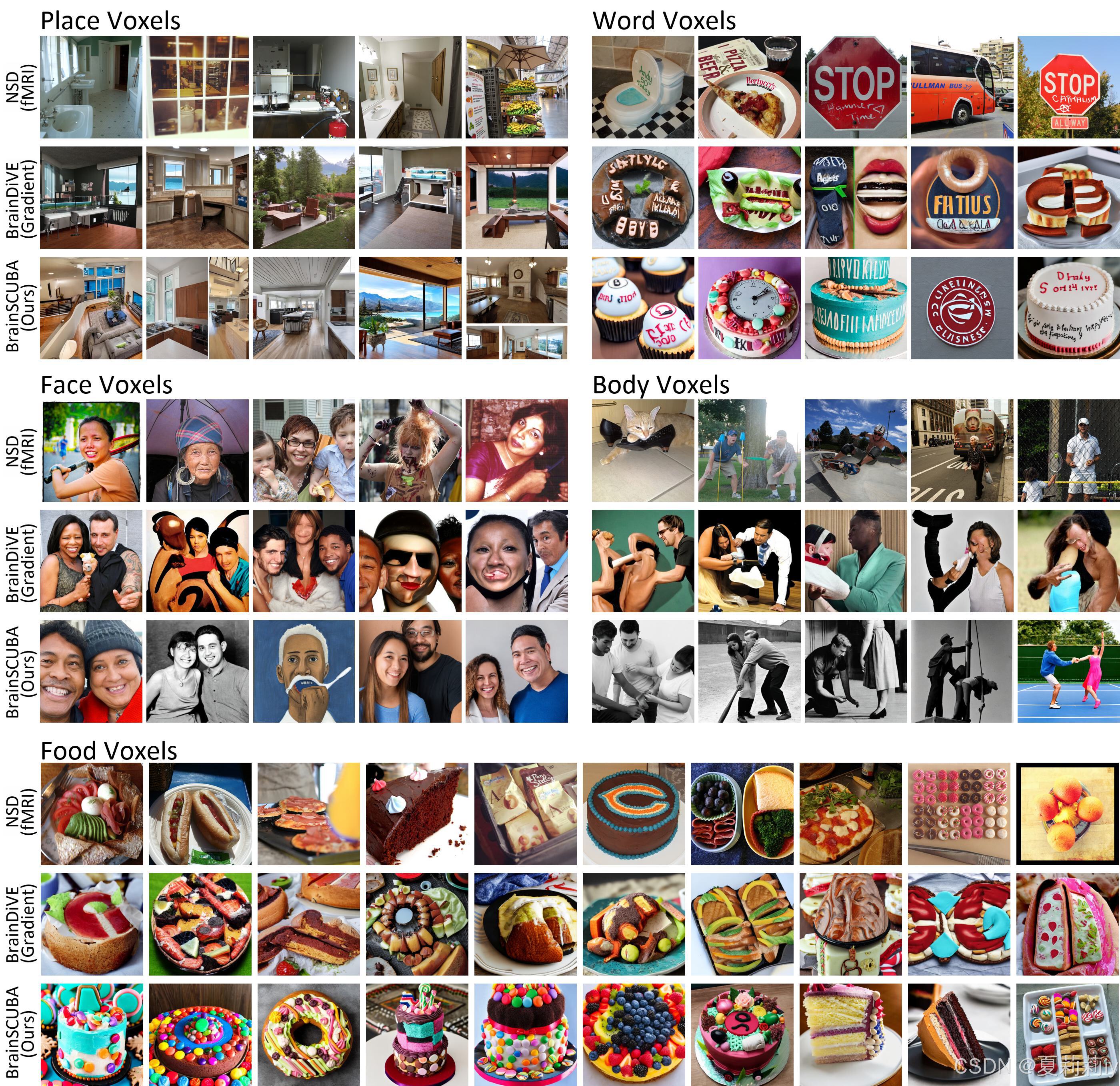 [ICLR 2024]BrainSCUBA: Fine-Grained Natural Language Captions of Visual Cortex Selectivity-CSDN博客