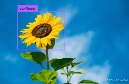 数据集-目标检测系列- 花卉 向日葵 检测数据集 sunflower ＞＞ DataBall-CSDN博客