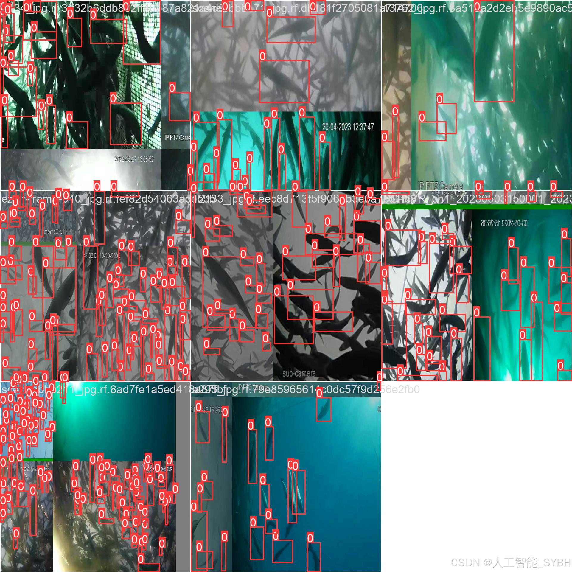 YOLOv5水下鱼类检测系统，YOLOv5水下鱼类识别检测，YOLOv5训练自己的水下鱼类数据集，深度学习水下鱼类识别_fishdet-yolo: enhanced underwater ...