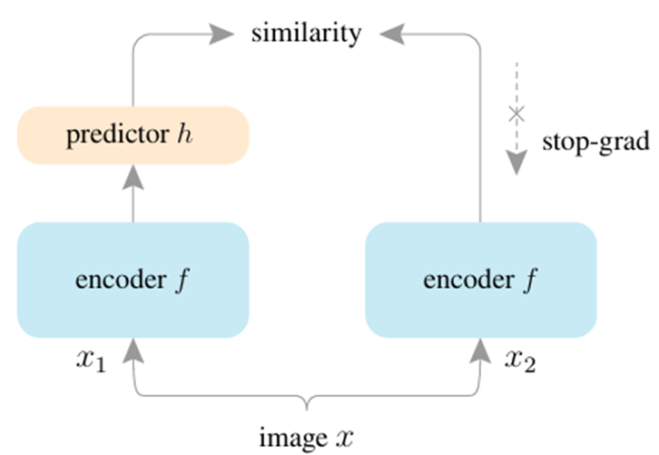 SimSiam（Exploring Simple Siamese Representation Learning）-CSDN博客