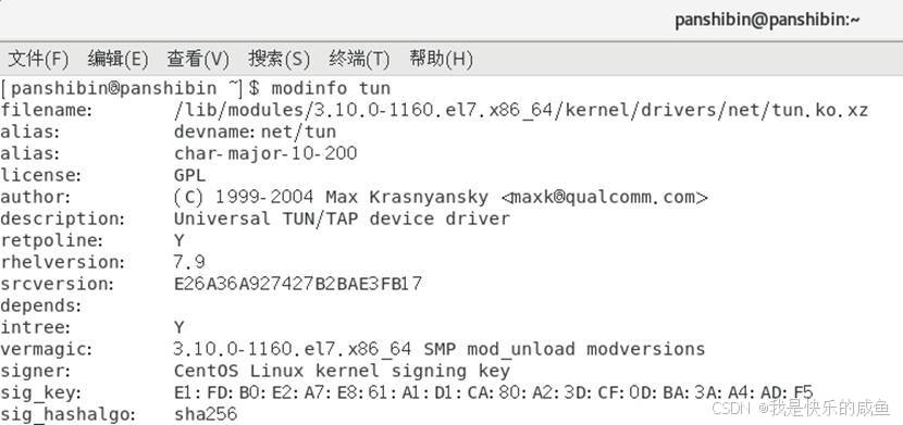 实验一：Linux虚拟网络环境和Wireshark抓包软件_vmware linux wireshark的使用实验-CSDN博客