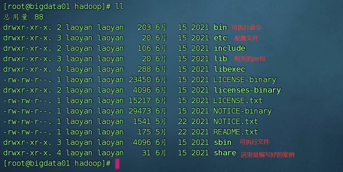 《Hadoop 3.x 伪分布式集群搭建指南 | 从原理到实战，万字详解》_hadoop伪分布式集群搭建及项目实战-CSDN博客