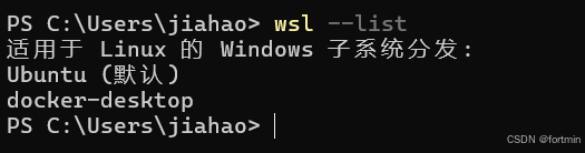 Windows基于WSL开发教程_.wslconfig-CSDN博客
