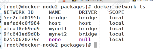 Docker容器技术全面解析(二)：构建仓库_docker 镜像仓库搭建-CSDN博客