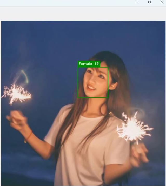 深度学习基于PyTorch和ResNet50的性别识别与年龄预测系统 男女识别检测 opencv_pytorch性别识别-CSDN博客