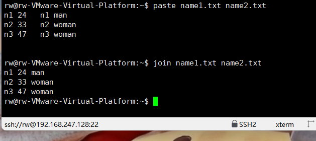 Linux命令速查：从echo到vim全攻略_通过管道符输入到vim-CSDN博客