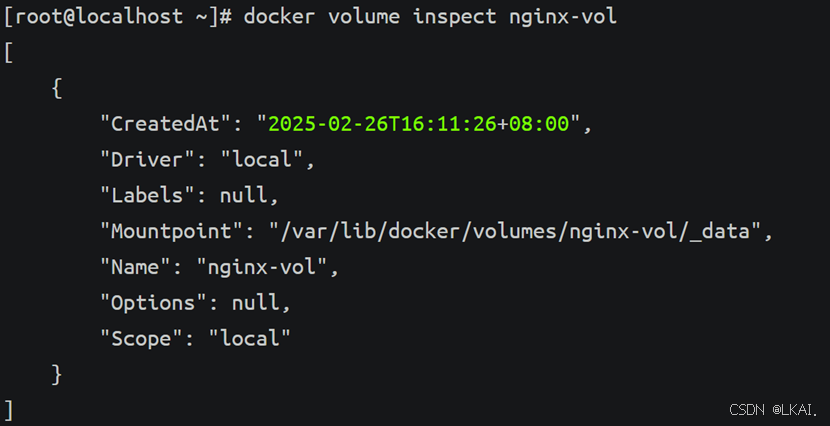 Docker数据持久化存储-CSDN博客
