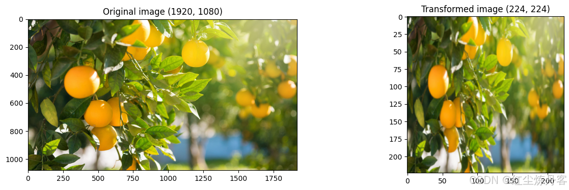 [PyTorch深度学习]--基于transforms的图像数据增强理解与实现_transforms 数据增强-CSDN博客