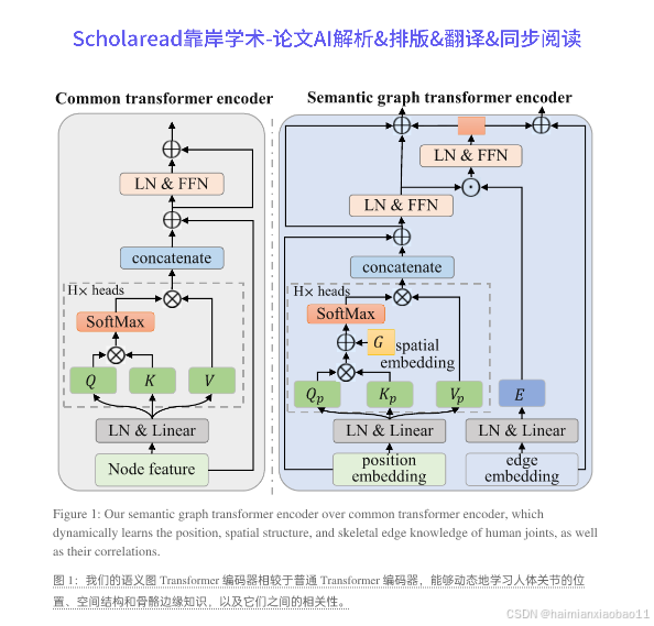 AAAI2024最佳解读|Deep Semantic Graph Transformer for Multi-View 3D Human Pose Estimation-water ...