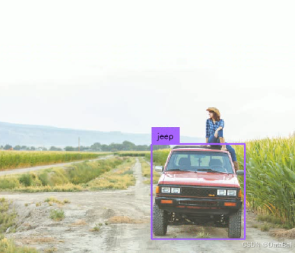 数据集-目标检测系列- 吉普车 检测数据集 jeep ＞＞ DataBall-CSDN博客