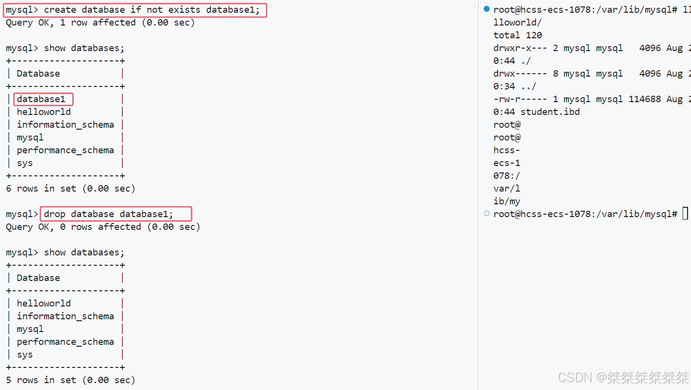 MySql数据库的操作_mysql读取数据库-CSDN博客