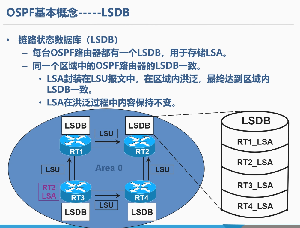 网络基础DAY19-OSPF-CSDN博客