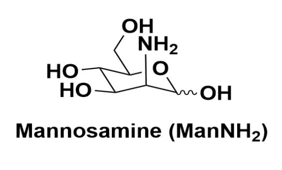 cas：14307-02-9，Mannosamine (ManNH2)，D-甘露糖胺-CSDN博客