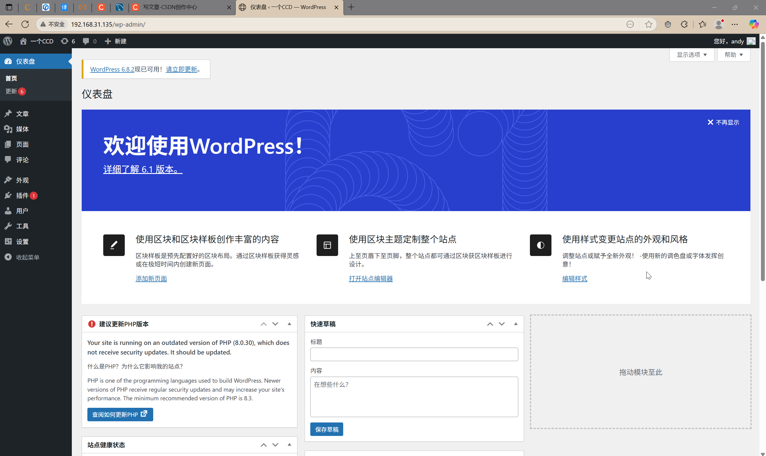使用NGINX、NFS、DNS服务器搭建wordpress博客项目-CSDN博客
