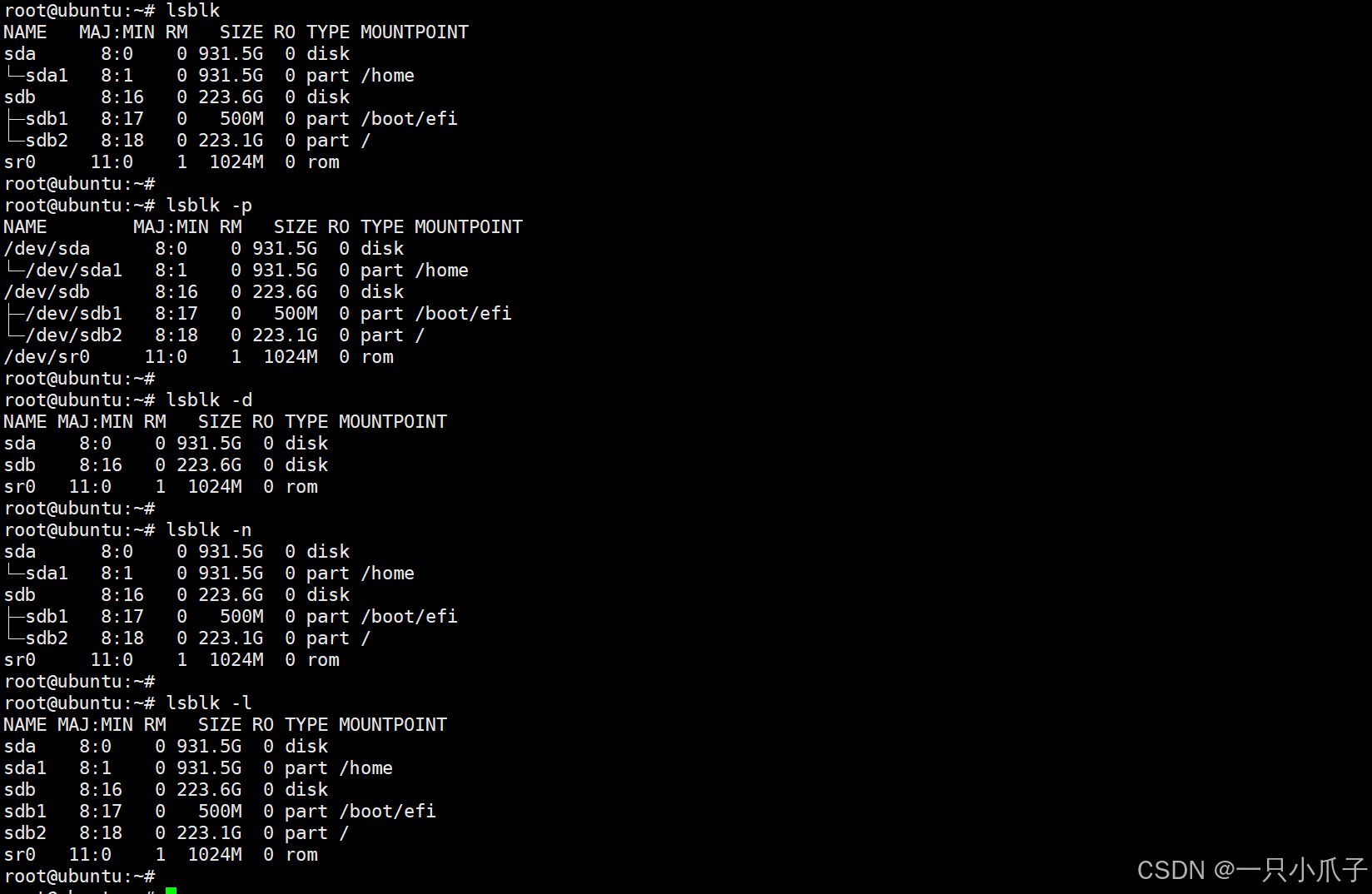 lsblk 使用说明_lsblk -d -o model-CSDN博客