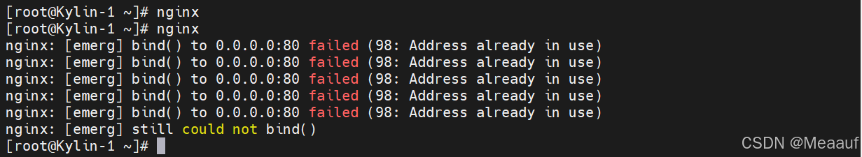 全网最详细基于Kylin的Nginx服务部署与配置（1/2）_银河麒麟 nginx-CSDN博客