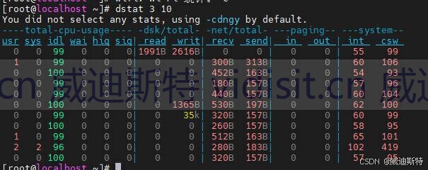 Linux命令工具：通过dstat实现对Linux服务器性能的管理和掌握-CSDN博客