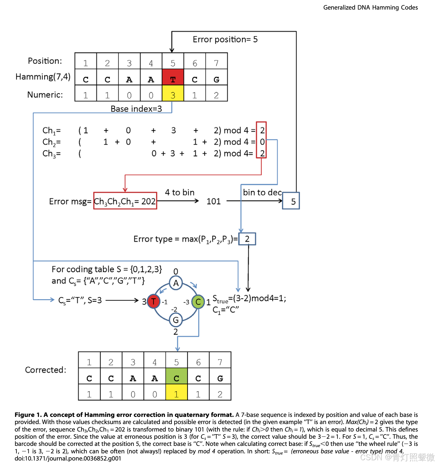 【bioinfo】DNBSEQ测序原理/Barcode/index hopping-CSDN博客