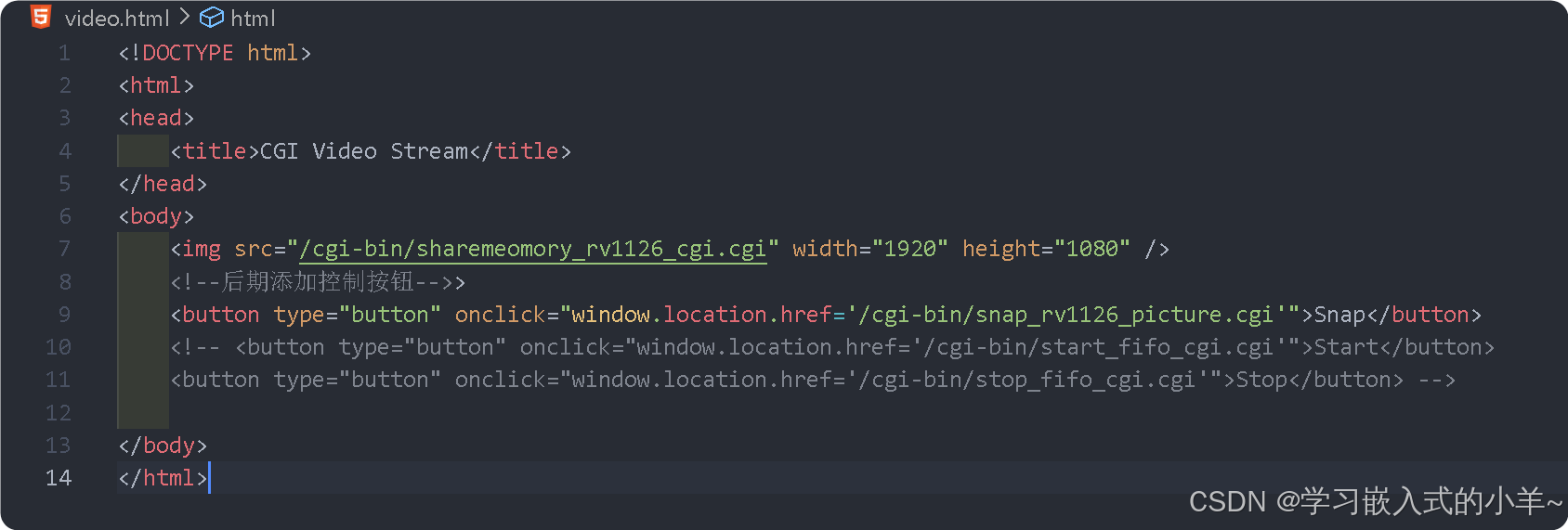 RV1126摄像头本地渲染项目_rv1126 web预览-CSDN博客