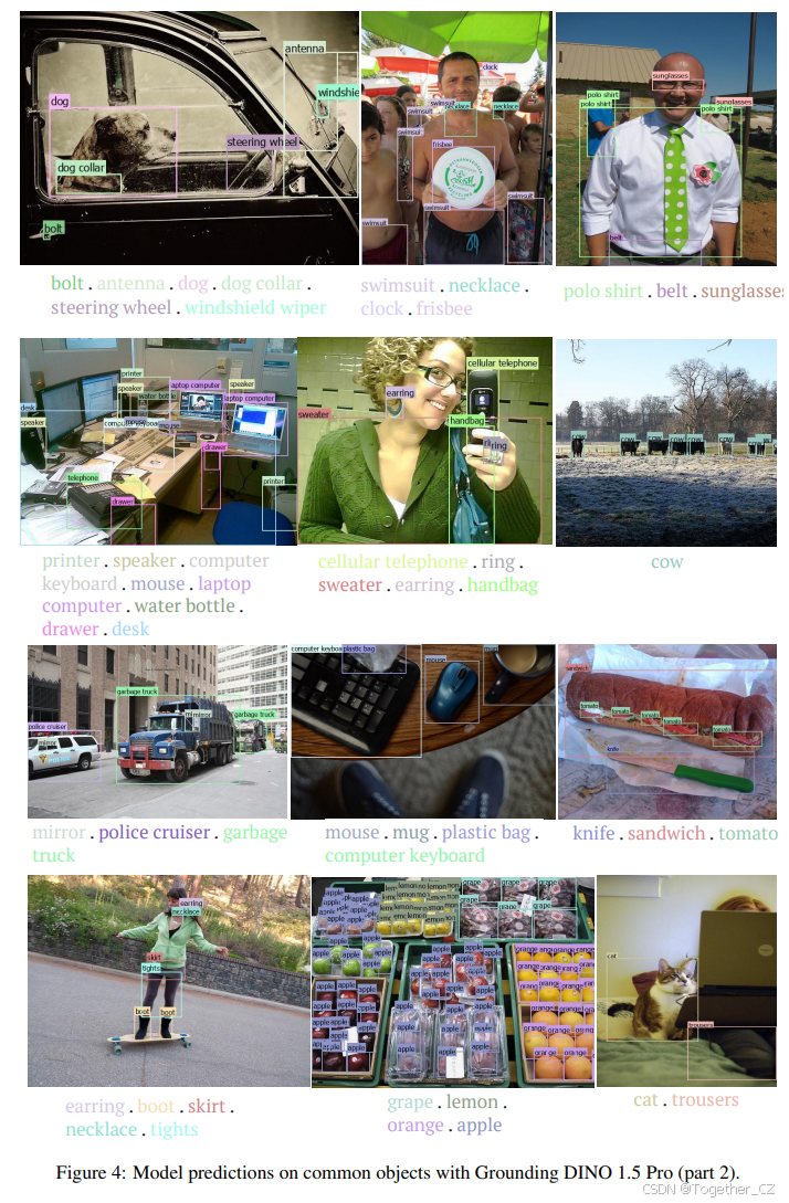 Grounding DINO 1.5: Advance the “Edge” of Open-Set Object Detection——推动开放集目标检测的“边缘”-CSDN博客