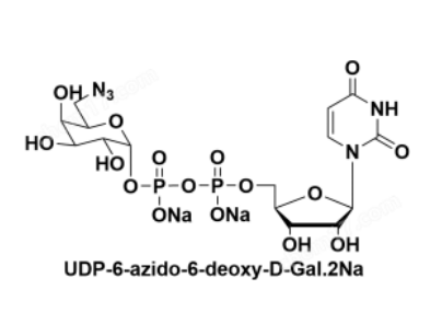 cas：868141-12-2，UDP-6-N3-Galactose， UDP-6-叠氮-6-脱氧-D-半乳糖二钠盐， UDP-6-叠氮基半 ...