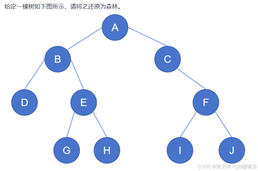 数据结构练习——树和二叉树02-CSDN博客