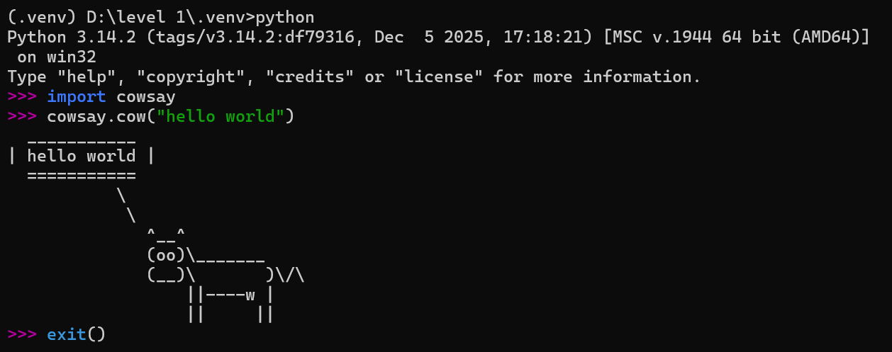 Python虚拟环境与开发工具全攻略：从虚拟环境到高效调试-CSDN博客