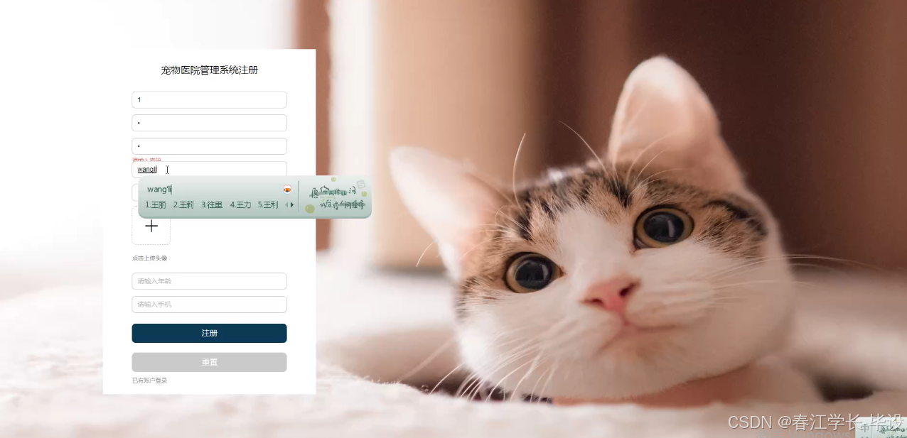 Springbootvue宠物医院管理系统【开题程序论文】基于springbootvue的宠物管理系统的设计与实现论文 Csdn博客