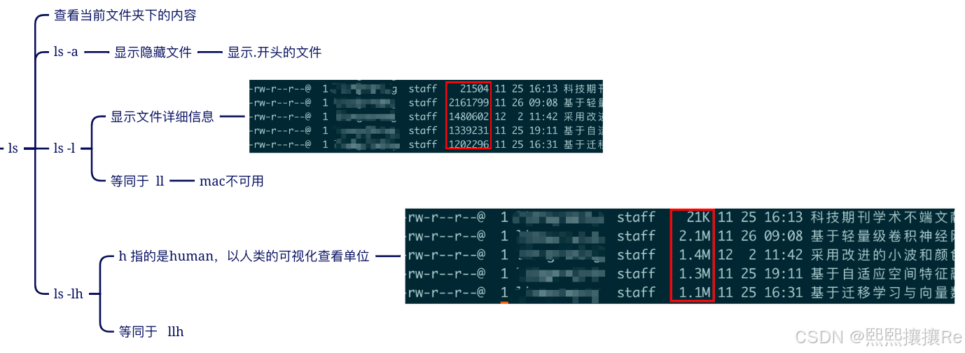 day04【入门】Linux系统操作-CSDN博客