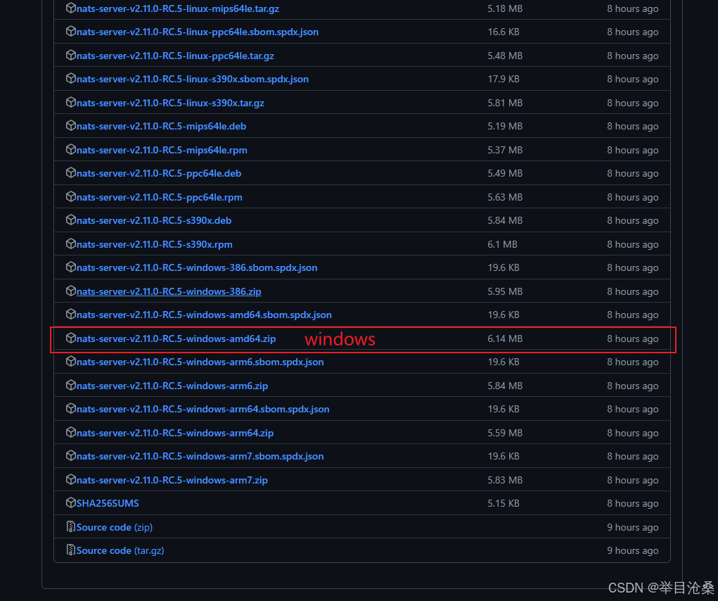 消息中间件 - 2.Nats_nats中间件-CSDN博客