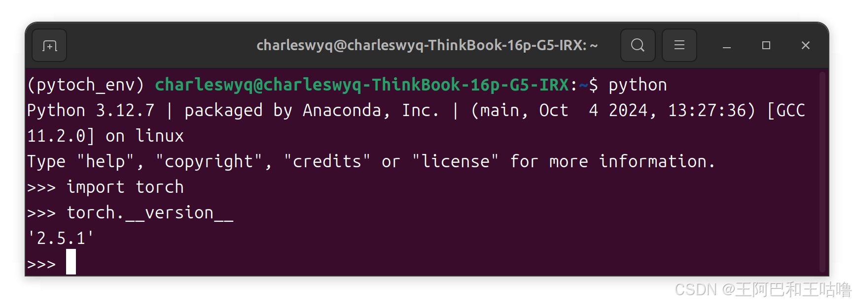 【Ubuntu2404】Ubuntu24.04安装PyTorch (GPU)_ubuntu pytorch-CSDN博客