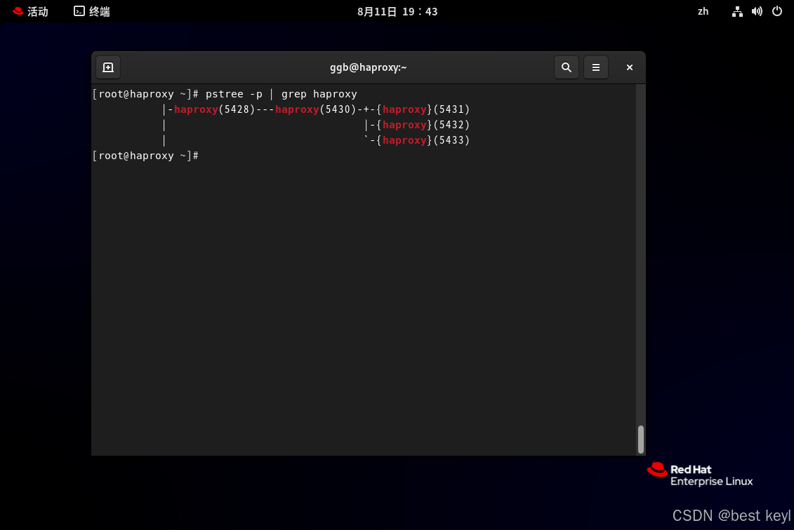 haproxy简介_haproxy作者-CSDN博客