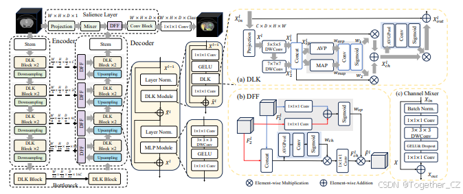 D-Net: Dynamic Large Kernel with Dynamic Feature Fusion for Volumetric Medical Image ...