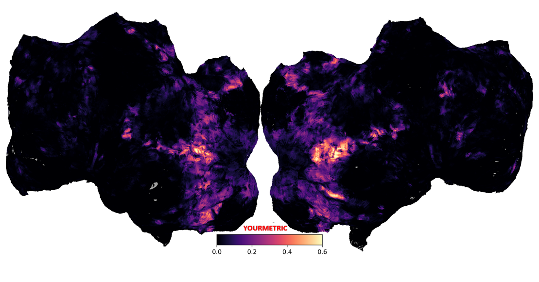 如何对NSD数据集使用Pycortex进行可视化？-CSDN博客