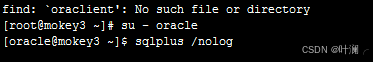 龙蜥Anolis8.9部署Oracle19c_龙蜥8.9安装oracle19c-CSDN博客