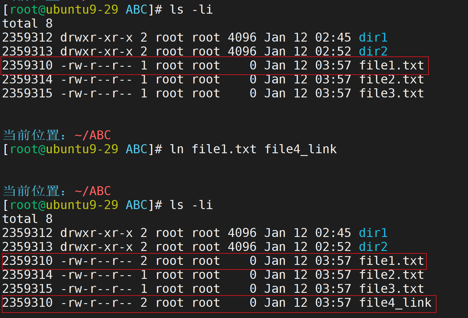 Linux Shell入门指南：从零掌握系统操作-CSDN博客