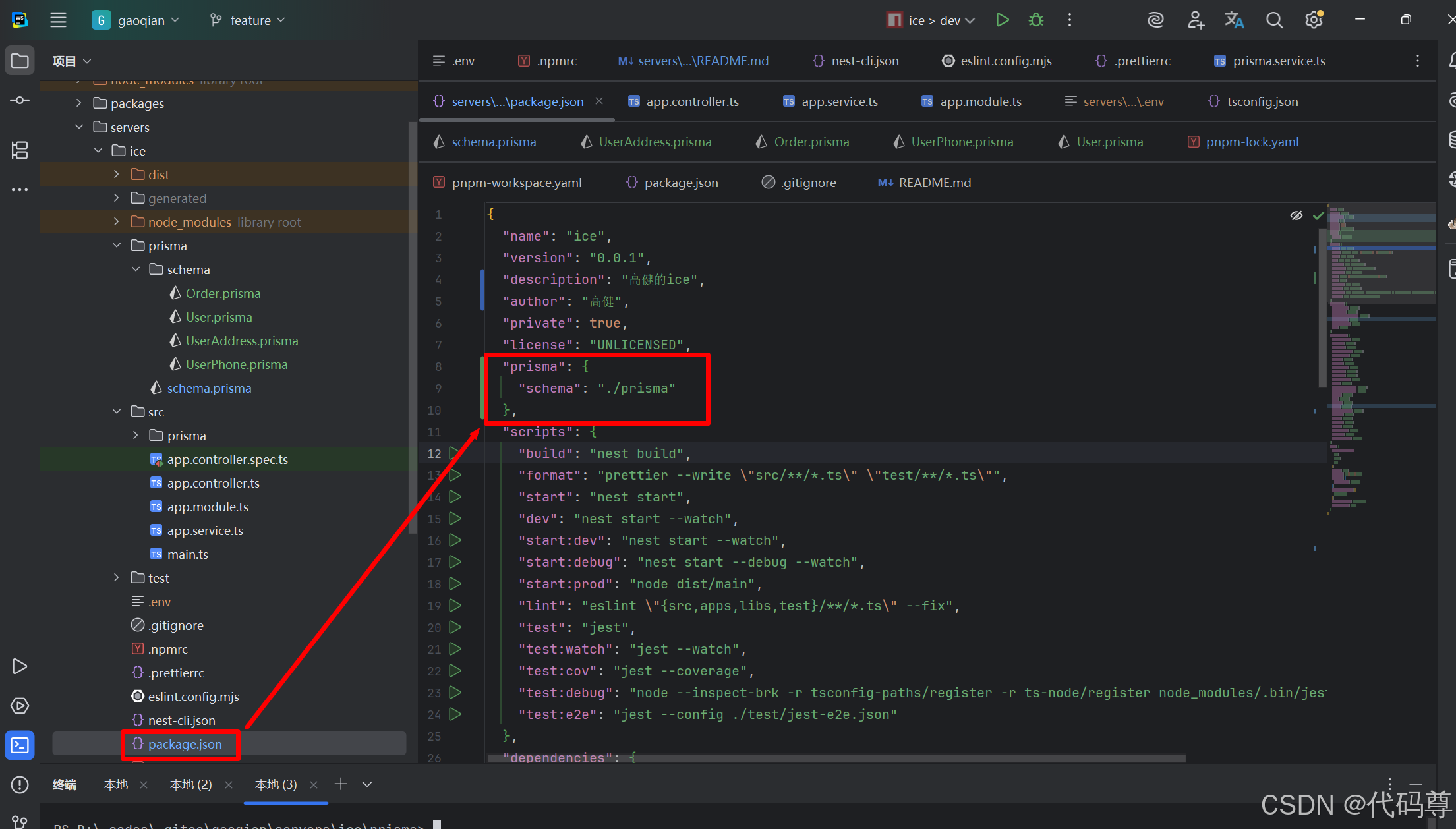 ORM 库 prisma 教程_prisma orm-CSDN博客