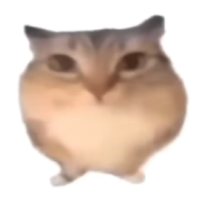 手搓机器学习——使用numpy实现MLP，并对iris数据集进行多分类-CSDN博客