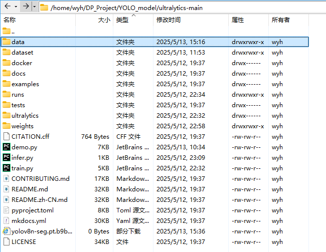 YOLO11实例分割实战_python_weixin_45820166-2048 AI社区