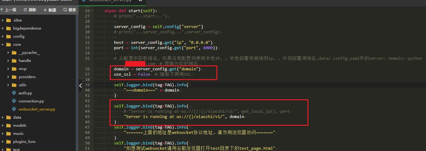 小智ai python服务端websocket接口由ip+端口改成域名访问_小智ai websocket接口-CSDN博客