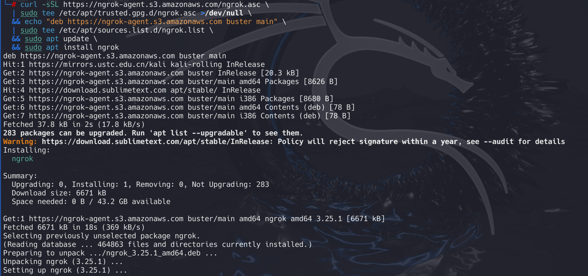 【教程】使用 ngrok 进行临时端口映射（含警告页绕过方法）_ngrok-skip-browser-warning-CSDN博客