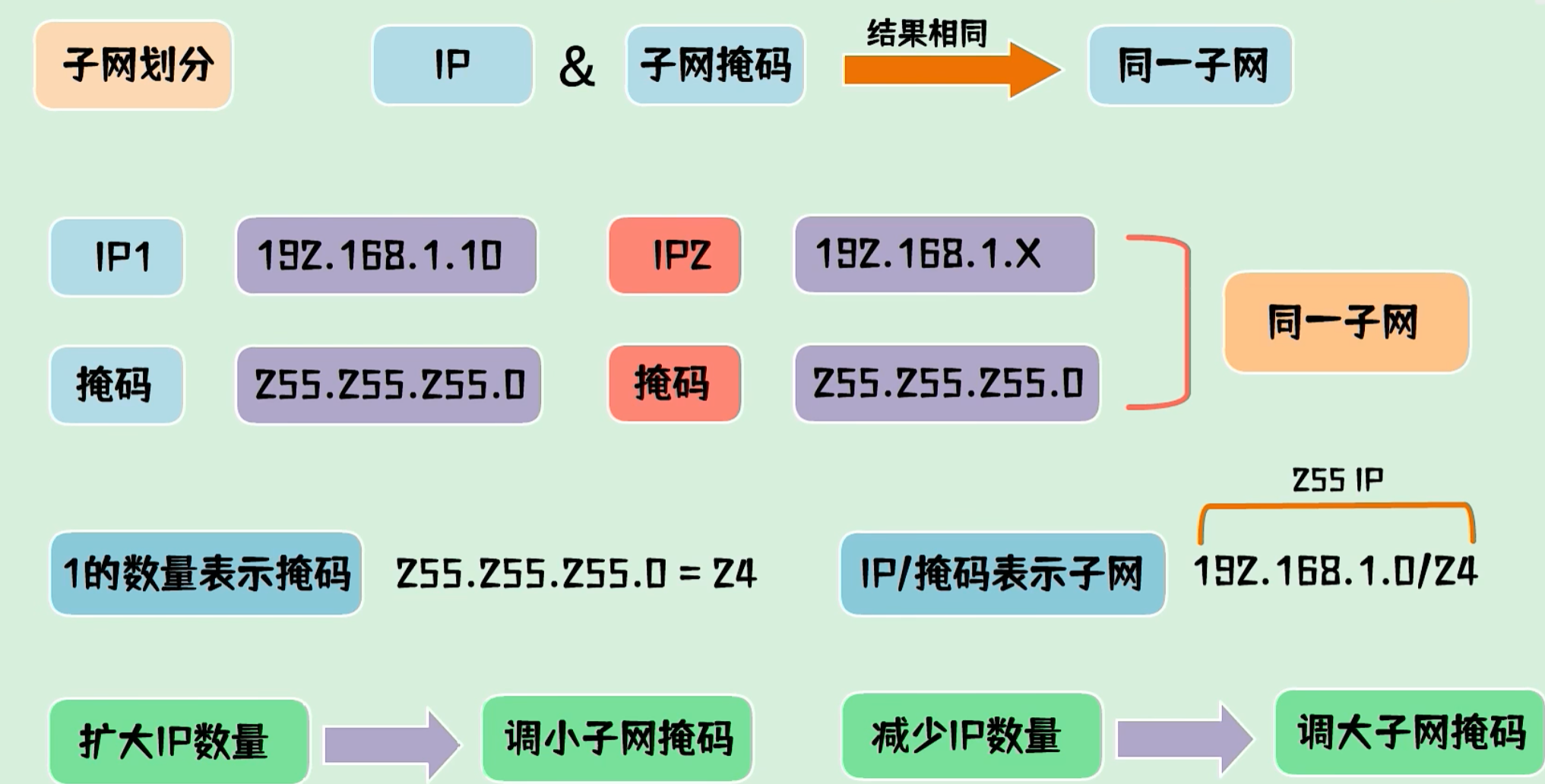计算机网络_dhcp,udp,tcp-CSDN博客