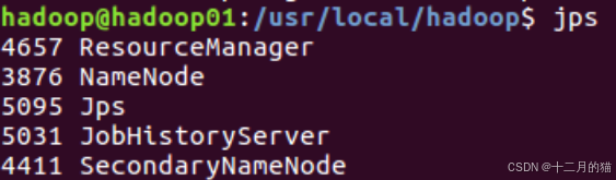 【一篇搞定配置】如何在Ubuntu上安装配置Hadoop集群_ubuntu安装hadoop-CSDN博客