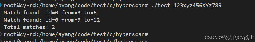 Hyperscan-正则匹配-CSDN博客