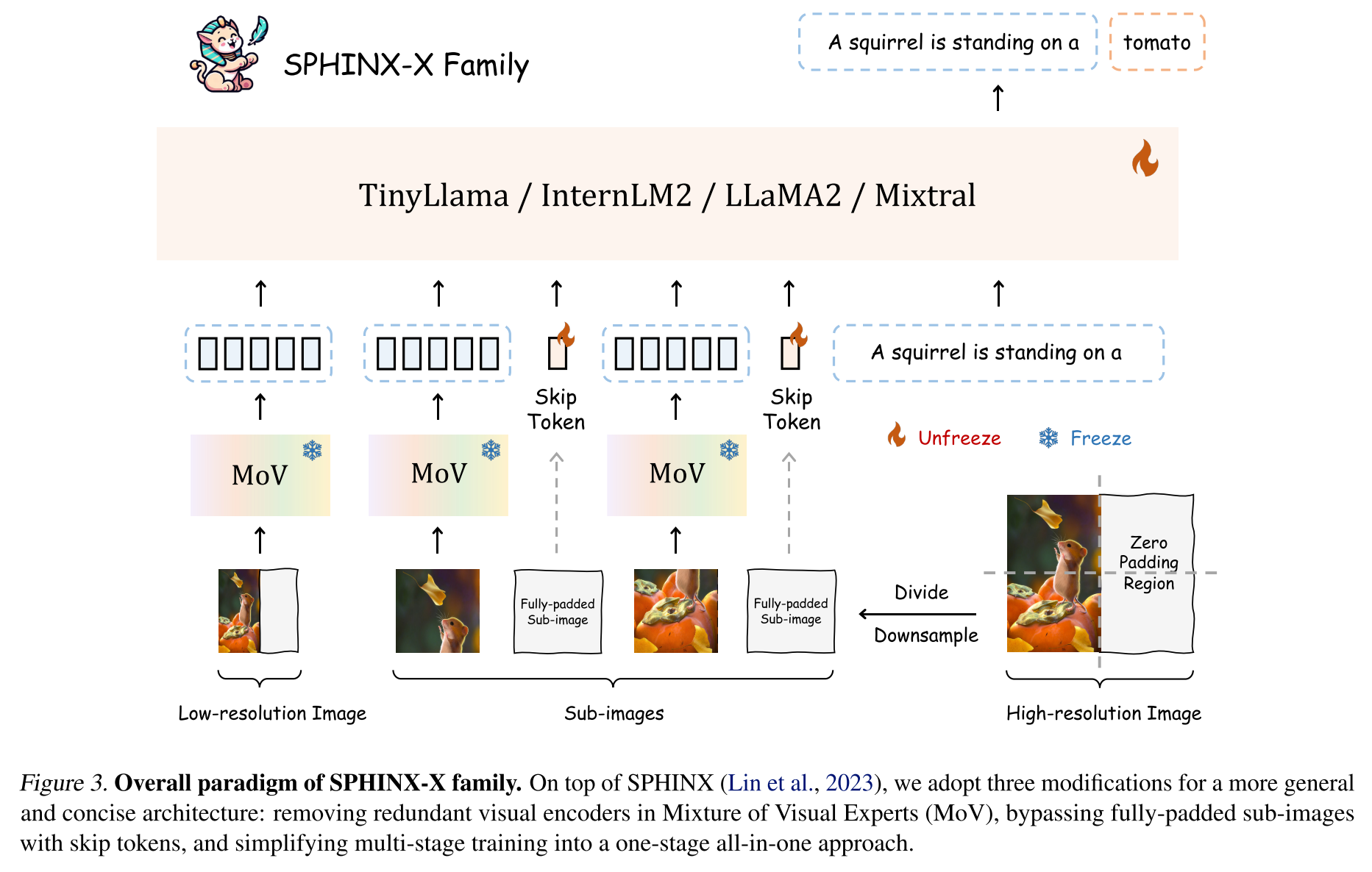 【文献阅读】SPHINX-X: Scaling Data and Parameters for a Family of Multi-modal Large Language Models-CSDN博客