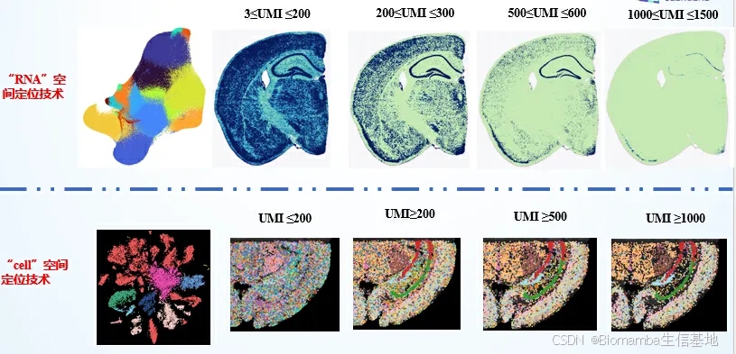 《Nature Methods》教你如何挑选空转平台_空转的spot的大小是多少-CSDN博客