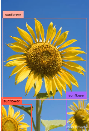 数据集-目标检测系列- 花卉 向日葵 检测数据集 sunflower ＞＞ DataBall-CSDN博客