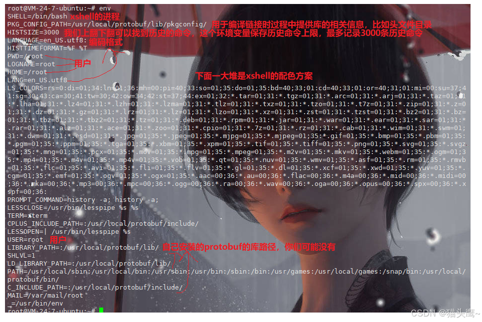 linux环境变量_linux ${user.home}-CSDN博客